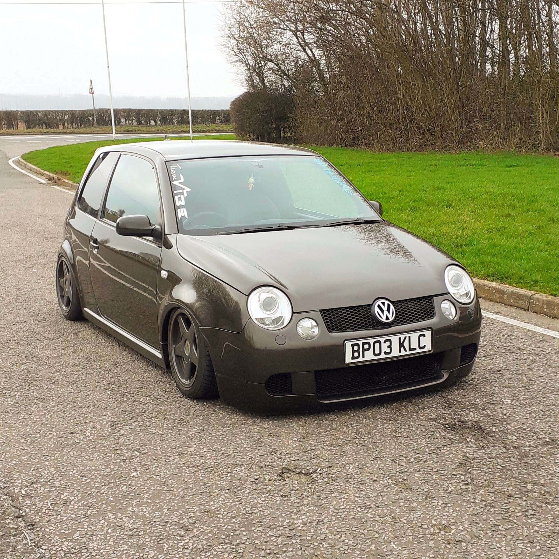 The return - New member? - Club Lupo